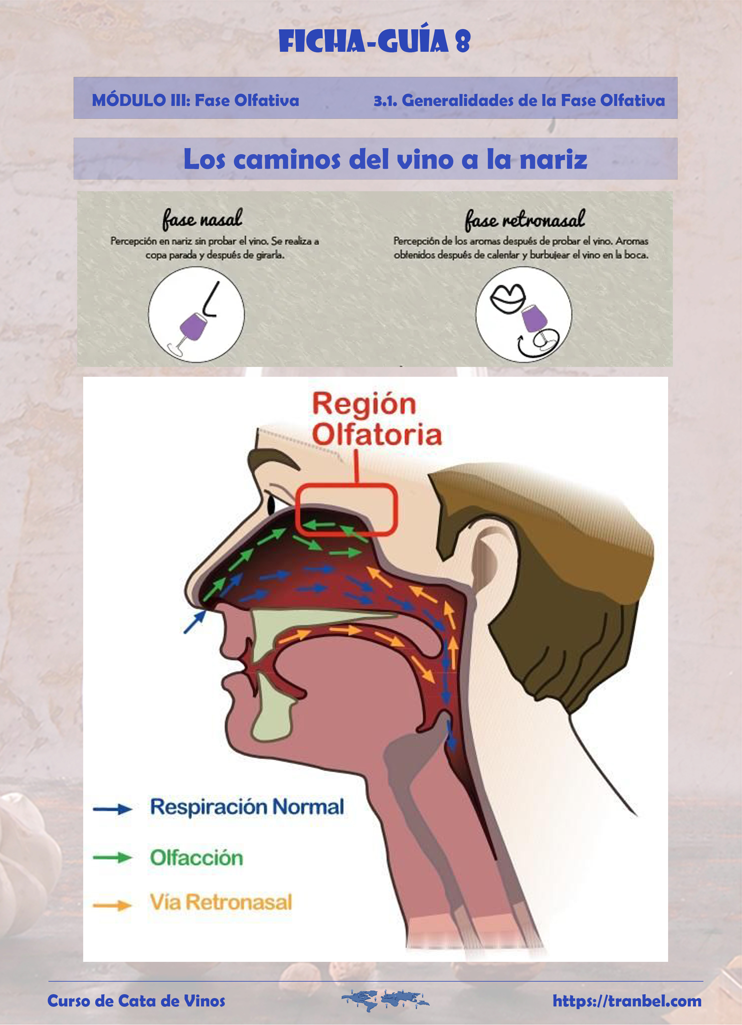 Fichas – Guía – Tranbel