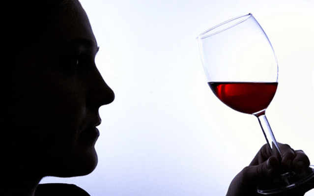 2.1. Generalidades de la Fase Visual – Tranbel